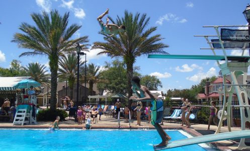 Dive In - Eagle Landing at Oakleaf Plantation